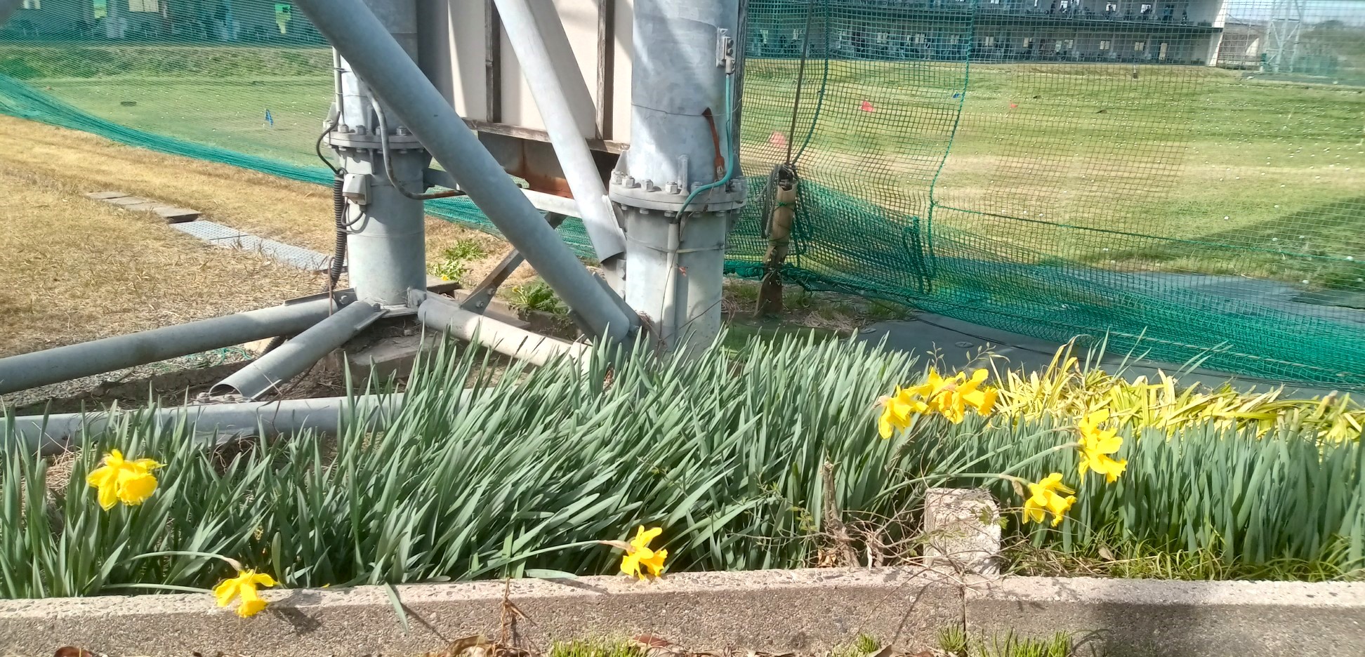DSC_0525 (6) | F-1ゴルフ倶楽部 愛知県半田市ゴルフ練習場 半田中央インターすぐ！